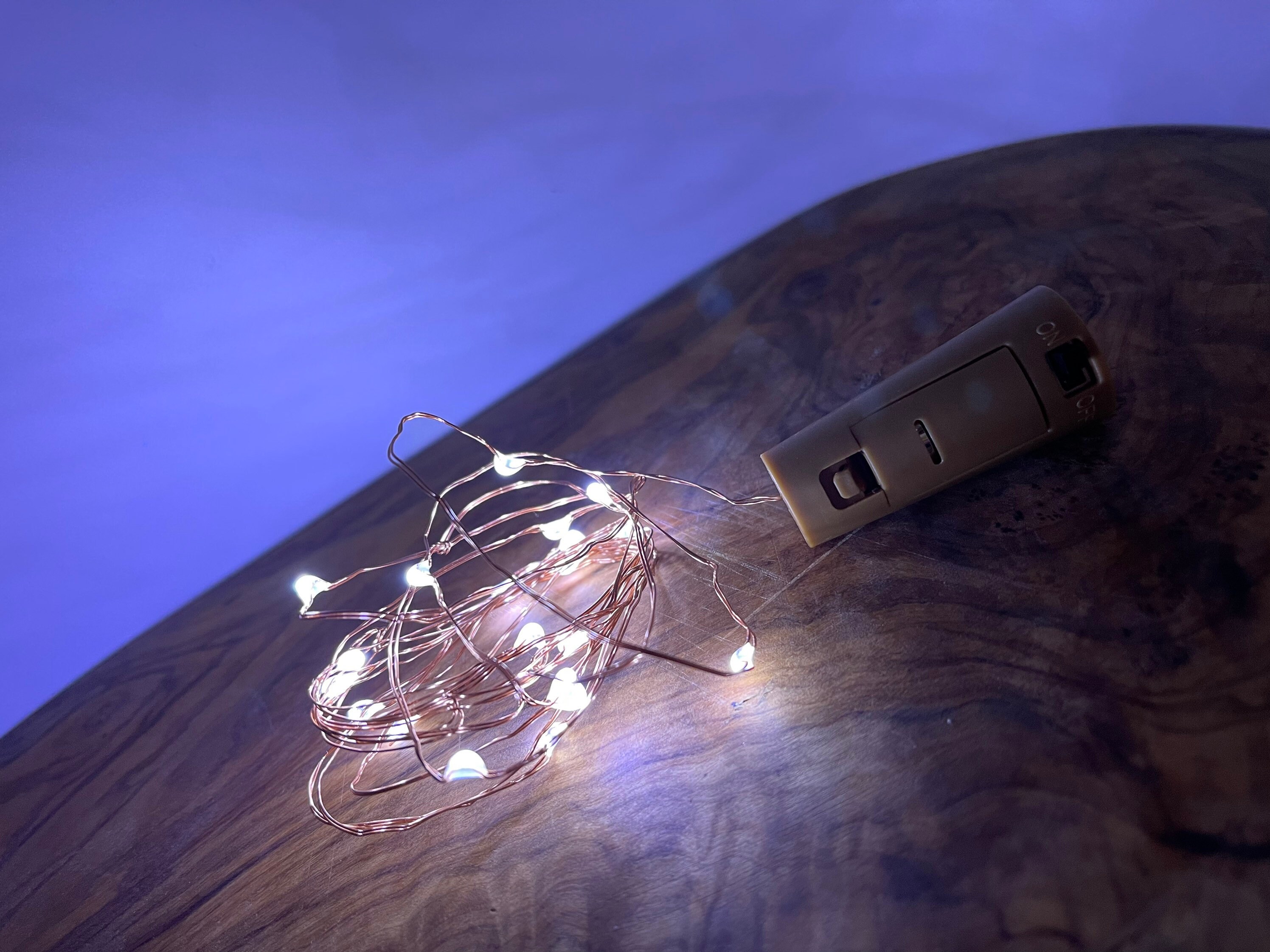 Disney where Dreams Come True Light up Bottle / Light up Bottle / Night ...