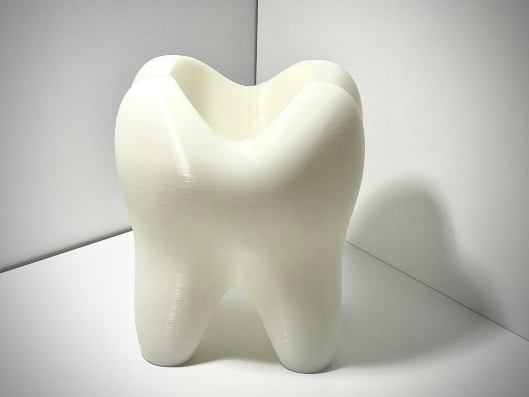 A Cup for Toothbrush and Toothpaste That Looks Like a Tooth - Etsy