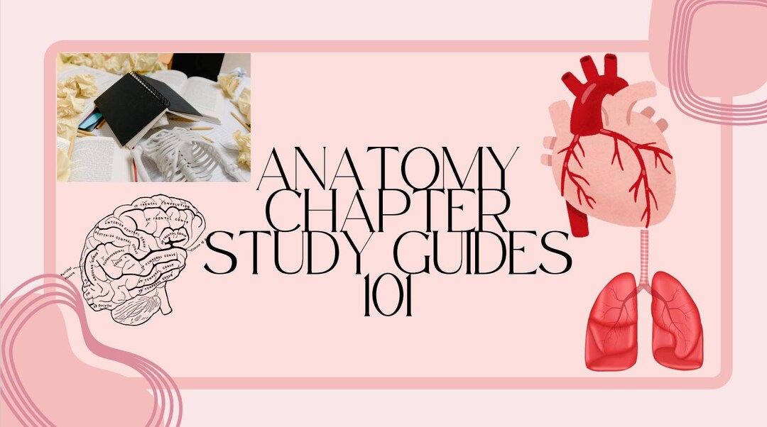 Anatomy Cell and Membrane Transport Study Guide 2 - Etsy