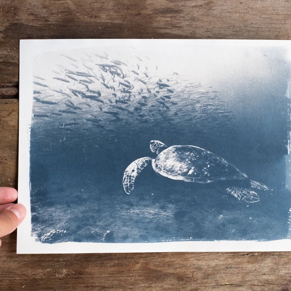 Cyanotype Print - Etsy