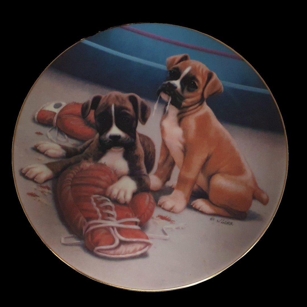 Ornamental Plate Boxer Rebellion Jim Lamb River Shore 1991 - Etsy