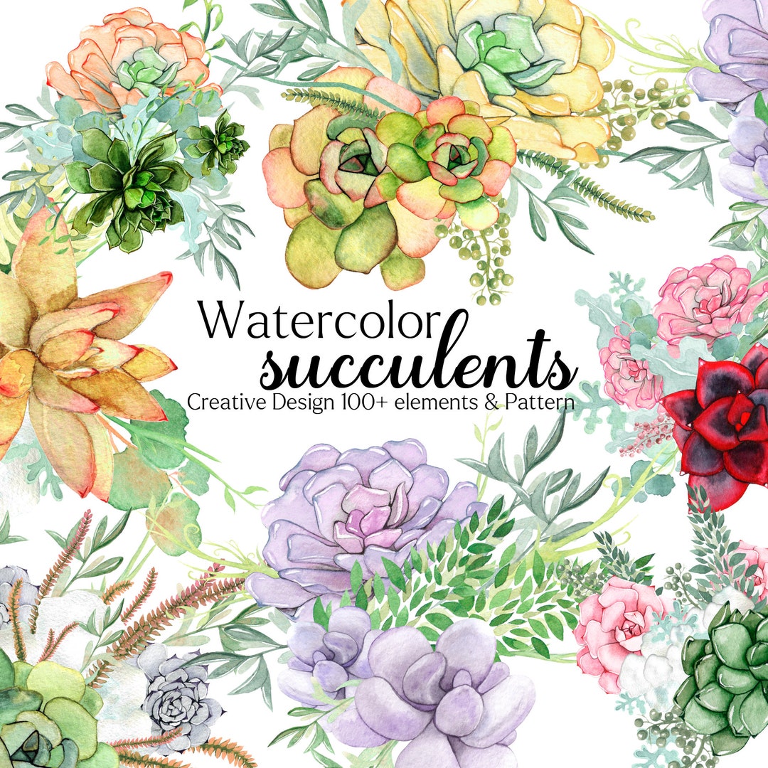 Succulents Watercolor Clipart Bundle Watercolor Clipart - Etsy