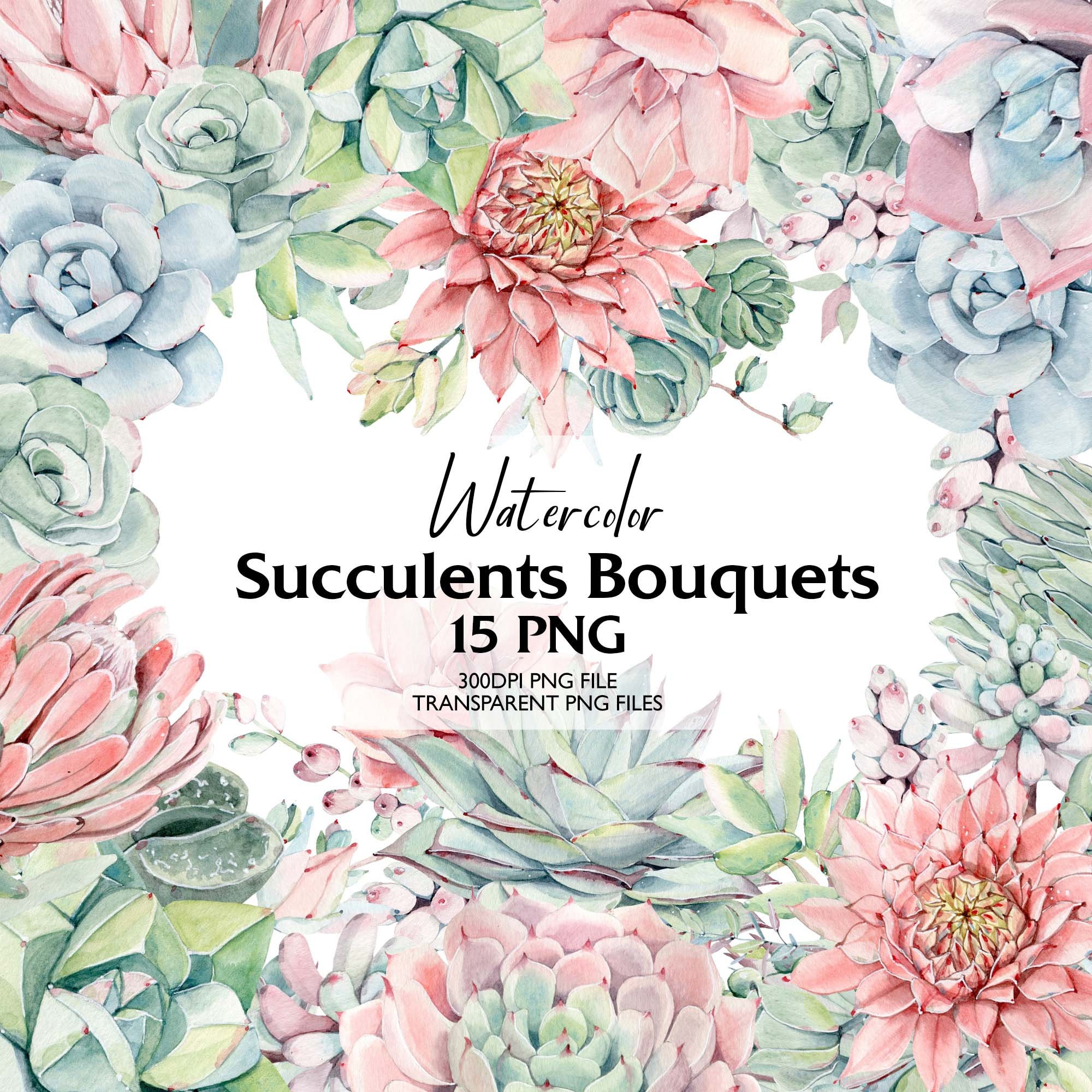 Watercolor Succulent Clipart Watercolor Cactus Digital - Etsy