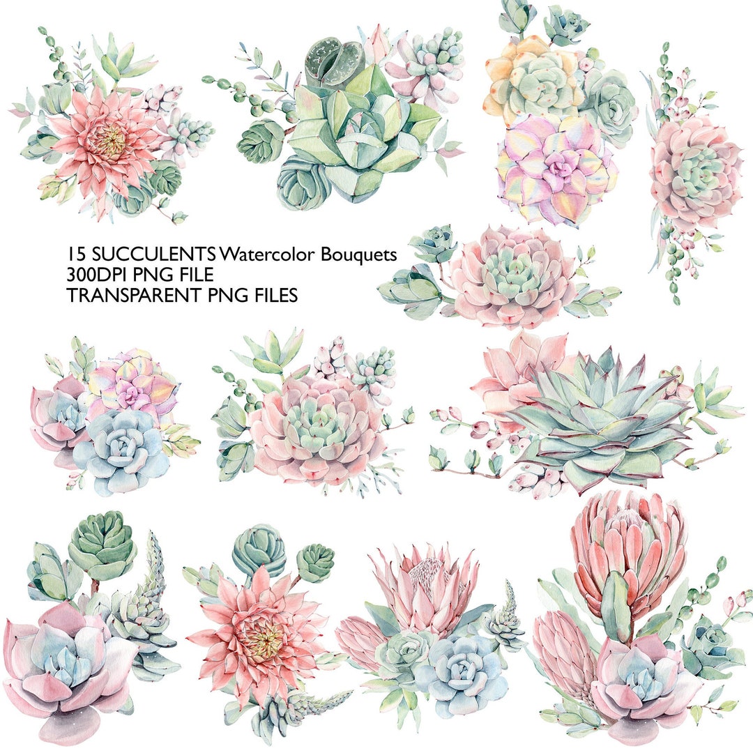 Watercolor Succulent Clipart Watercolor Cactus Digital - Etsy