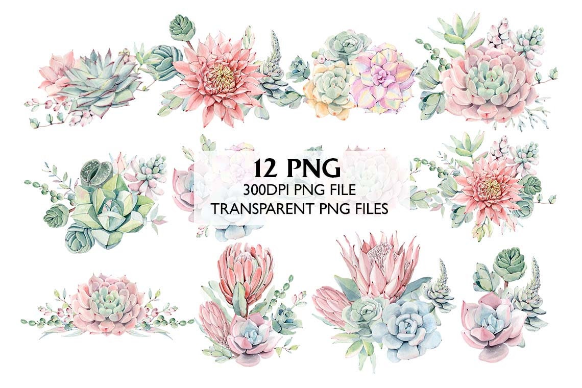 Watercolor Succulent Clipart Watercolor Cactus Digital - Etsy