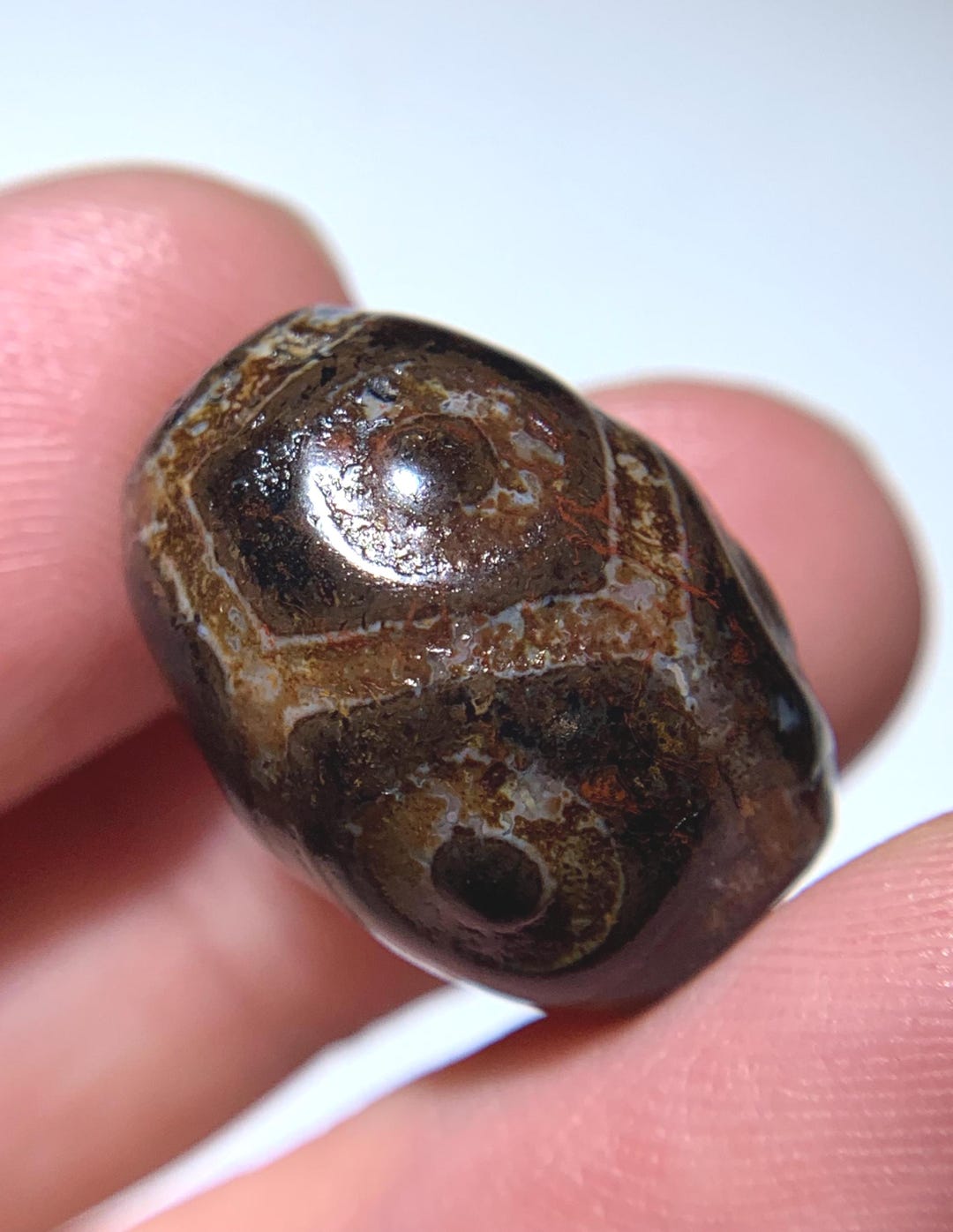 Dzi Bead" 6 Eyes & Turtle Back " Daluo Amulet Pendant 21.5mm X 15.9mm ...