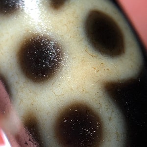 Dzi Bead " 5 Eyes & Lightning " Amulet Pendant Necklace 27.9mm X 11.2mm ...