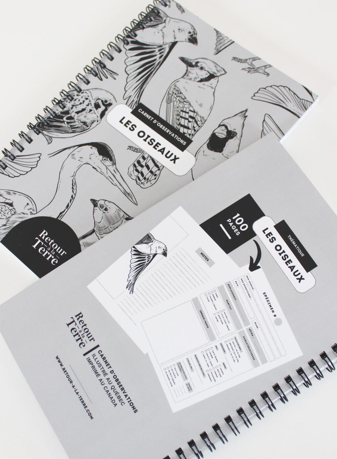 OBSERVATION NOTEBOOK - BIRDS Theme: Notebook for Nature Expedition ...