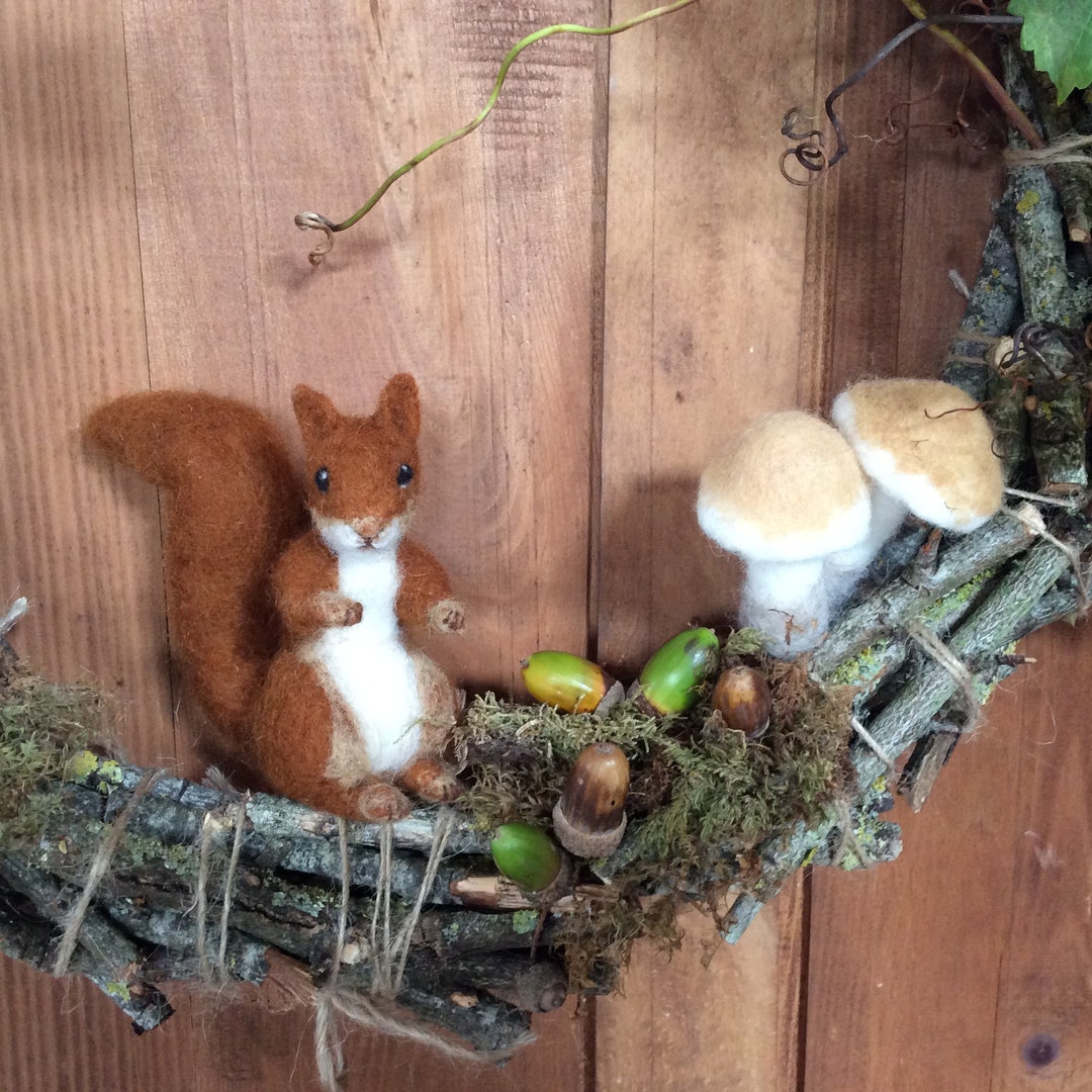 Needle Felted Squirrel Carded Wool Kit - Needle Felting Kit Squirrels - Etsy