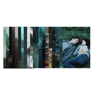 Twilight Vampire Movie Wall Collage 20 Physical Prints - Etsy