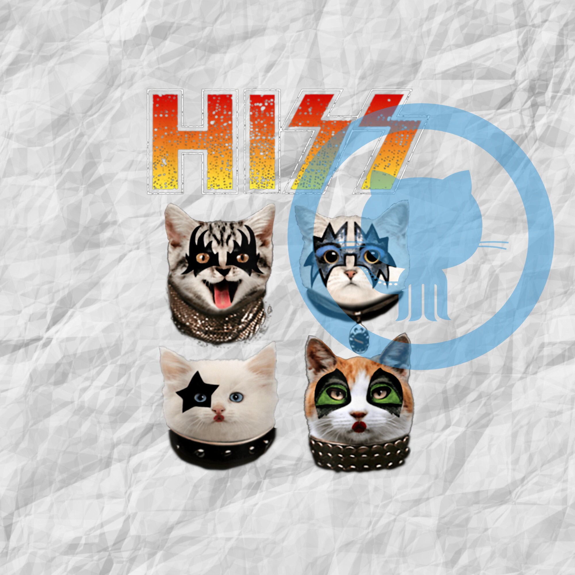 HIZZ Cat Humor, Black Cat, Cute, PNG, Digital Design, Sublimation ...