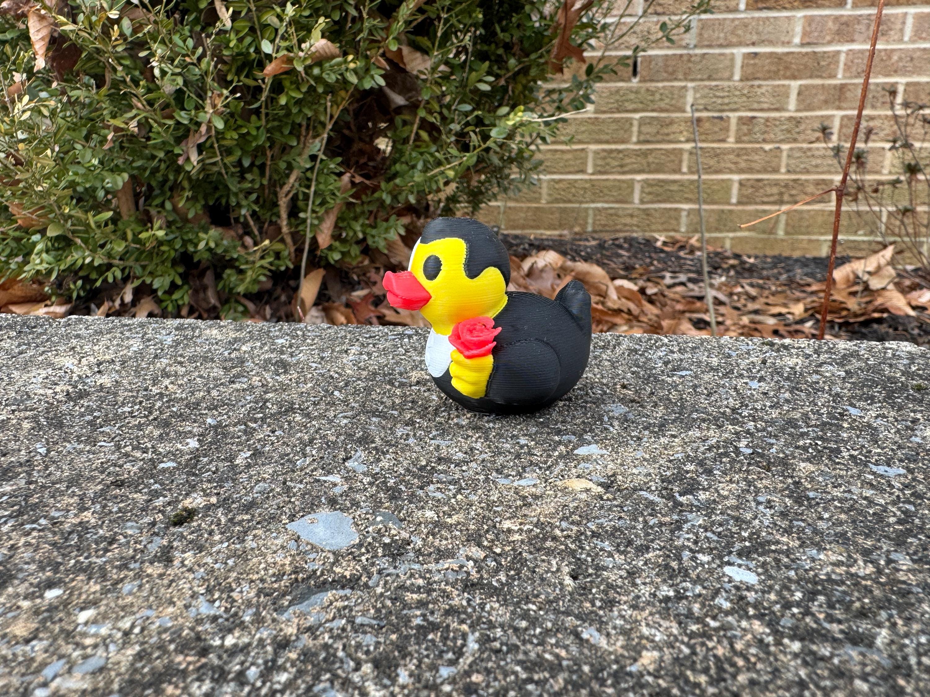 Phantom of the Opera Duck - Etsy
