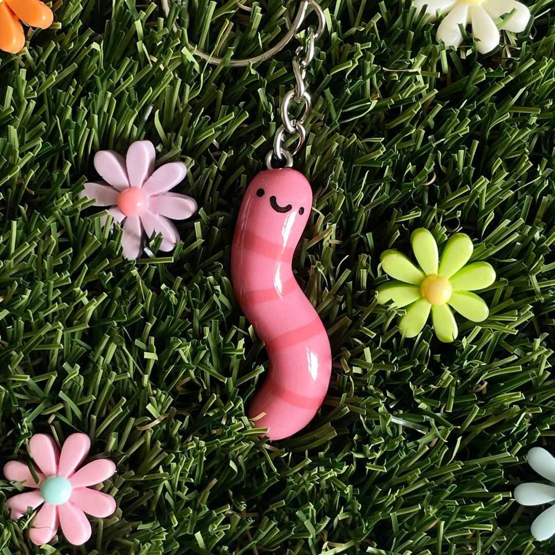 Worm Keychain Buddy - Adopt A Mini Earthworm Pet, Handmade Bag ...