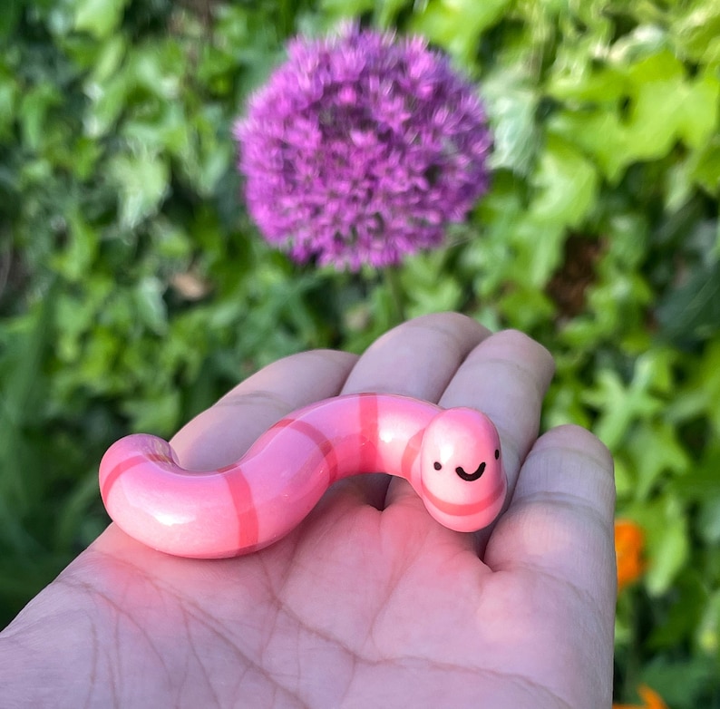 Worm Desk Buddy - Adopt A Mini Earthworm, Handmade Ring Holder, Pen ...