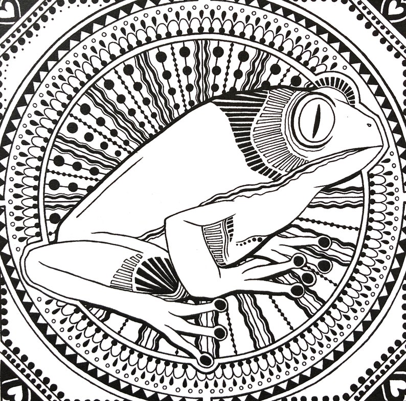 Holy Frog Square Illustration/artwork Kambo Medicine - Etsy