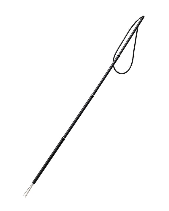 Telescoping Spear