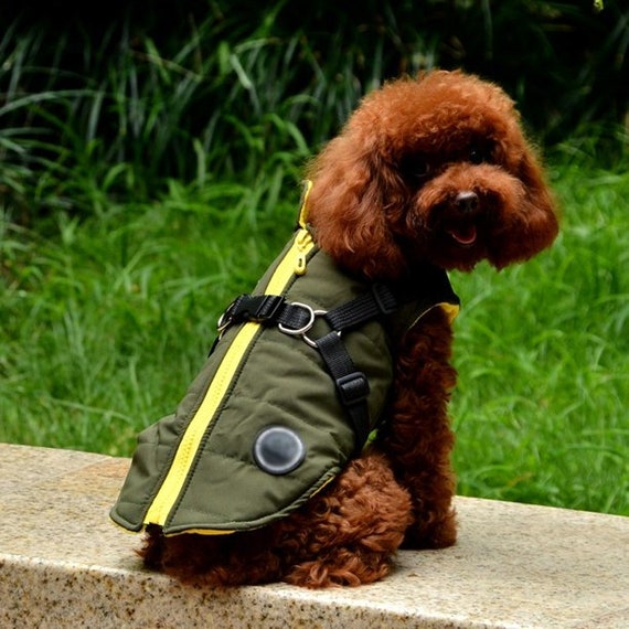 Waterproof Dog Jacket With Harness PawFect4Pets | atelier-yuwa.ciao.jp