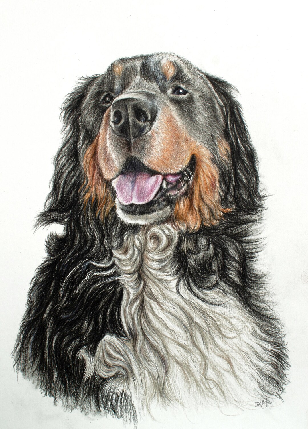 Ritratto Di Animale Domestico Personalizzato, Disegnato Dalla Foto ...