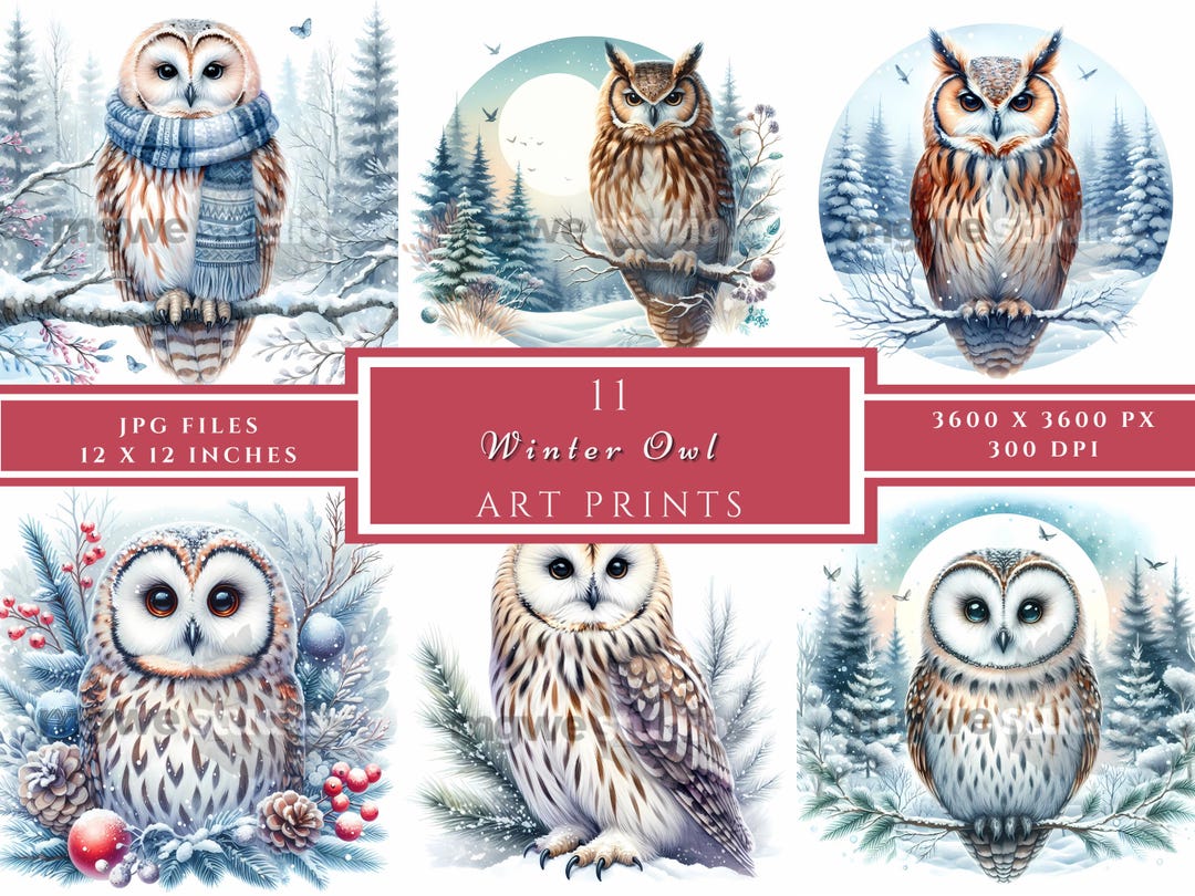 Watercolor Winter Owl Clipart: JPG Art Prints (digital Download) - Etsy