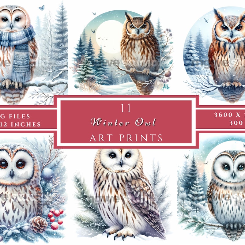Winter Owl - Etsy