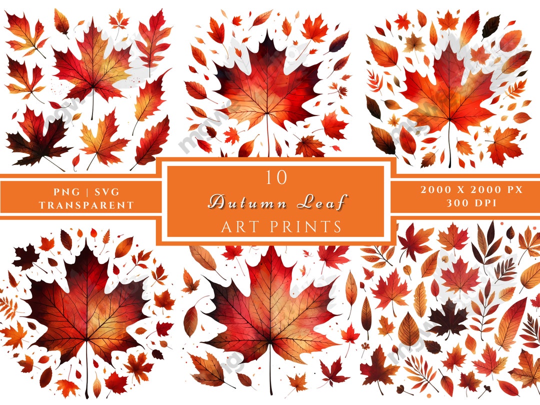 Autumn Leaf PNG: Fall Foliage Art Prints (digital Download) - Etsy