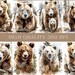 Grizzly Bear Watercolor Clipart, Cute Bear Illustration (digital ...