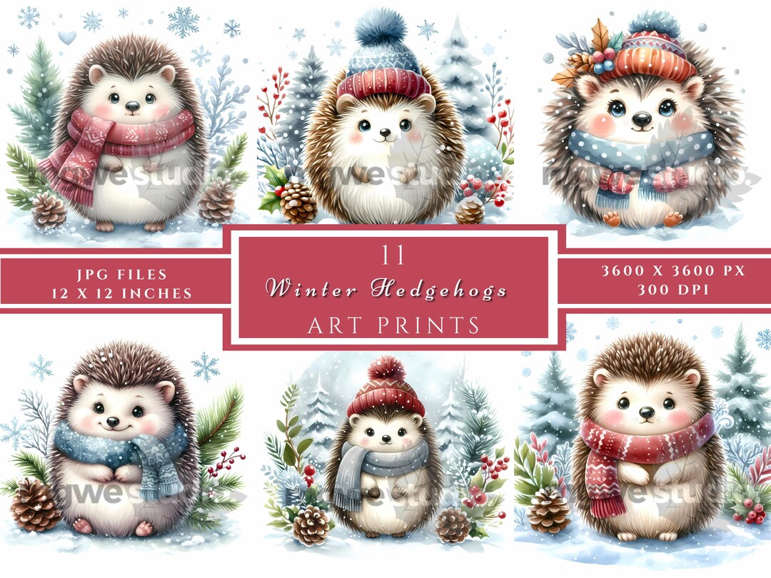 11 Winter Hedgehog Clipart Jpgs, Printable Watercolor Clipart, Winter ...