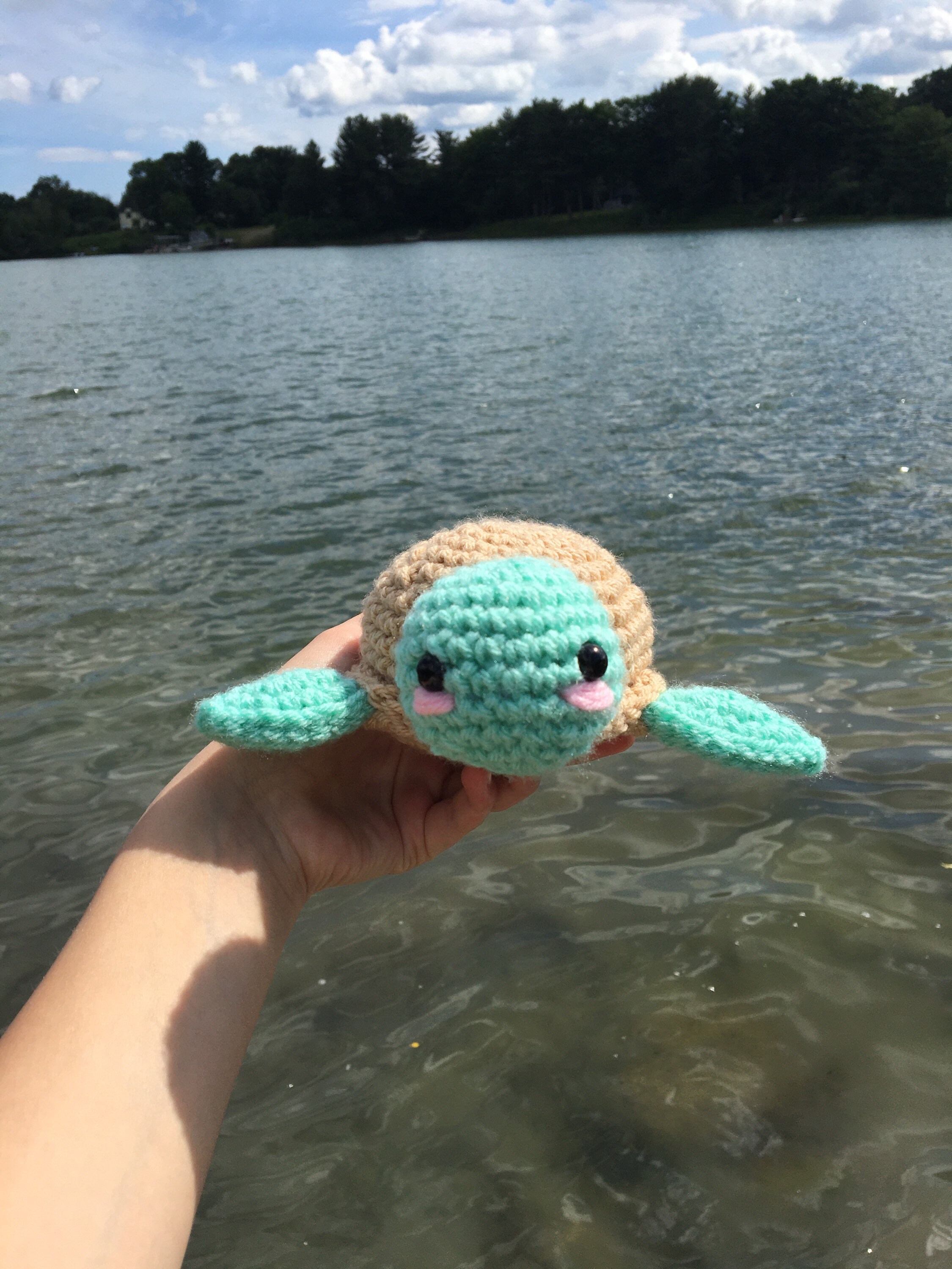 Custom Crochet Turtle Plushie - Etsy