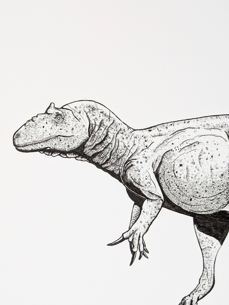 Original Allosaurus Pen and Ink Drawing, T Rex Paleoart Christmas Gift ...