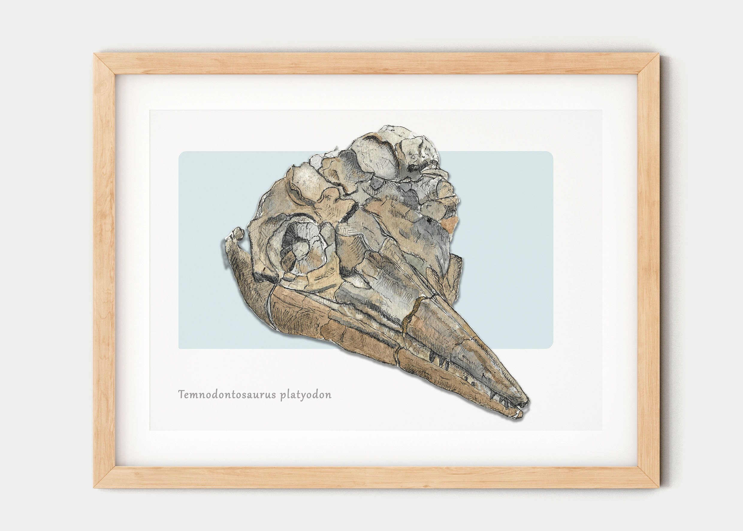 Fossil Ichthyosaur Art Print Scientific Illustration Artwork - Etsy
