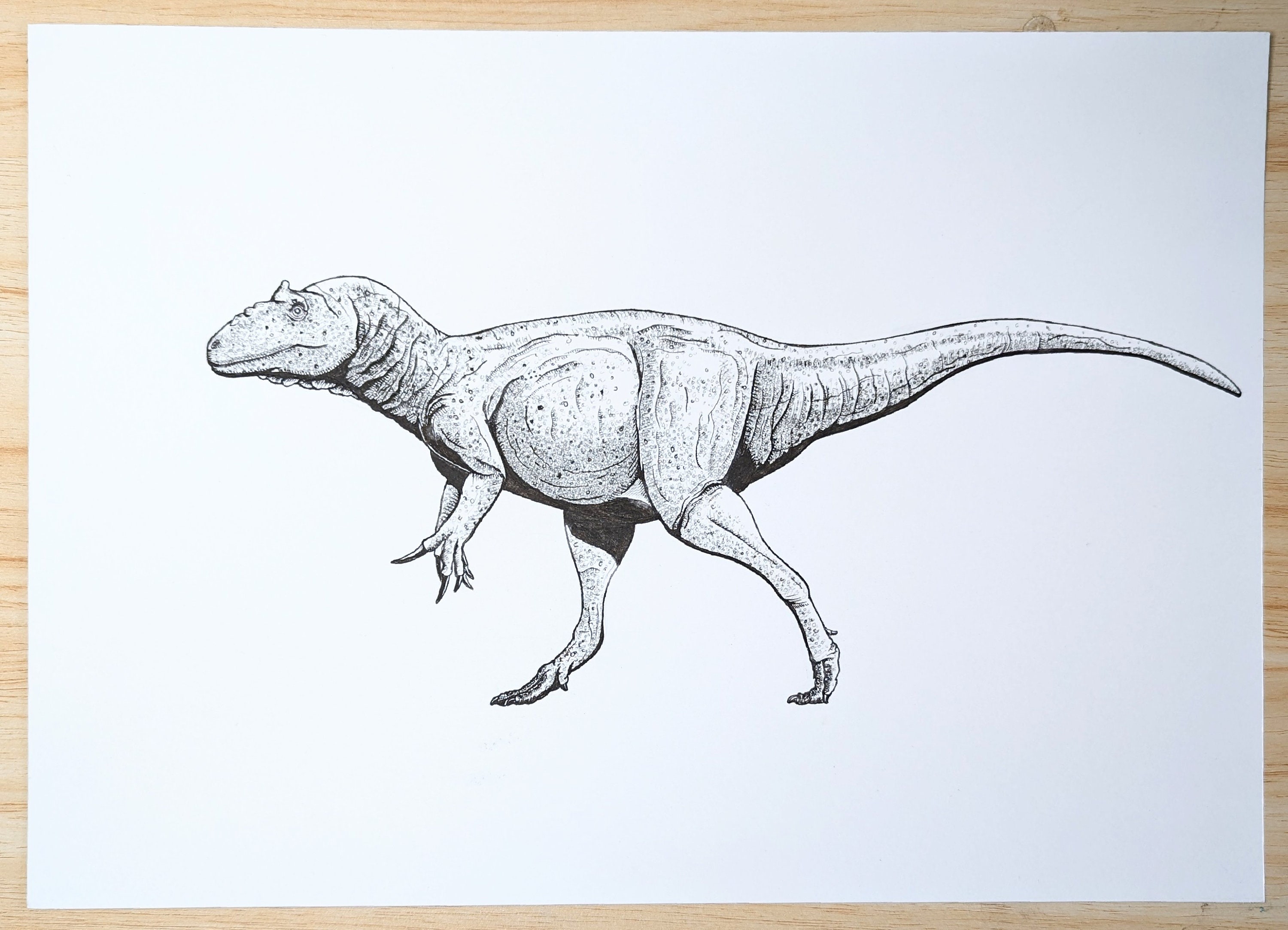 Original Allosaurus Pen and Ink Drawing, T Rex Paleoart Christmas Gift ...