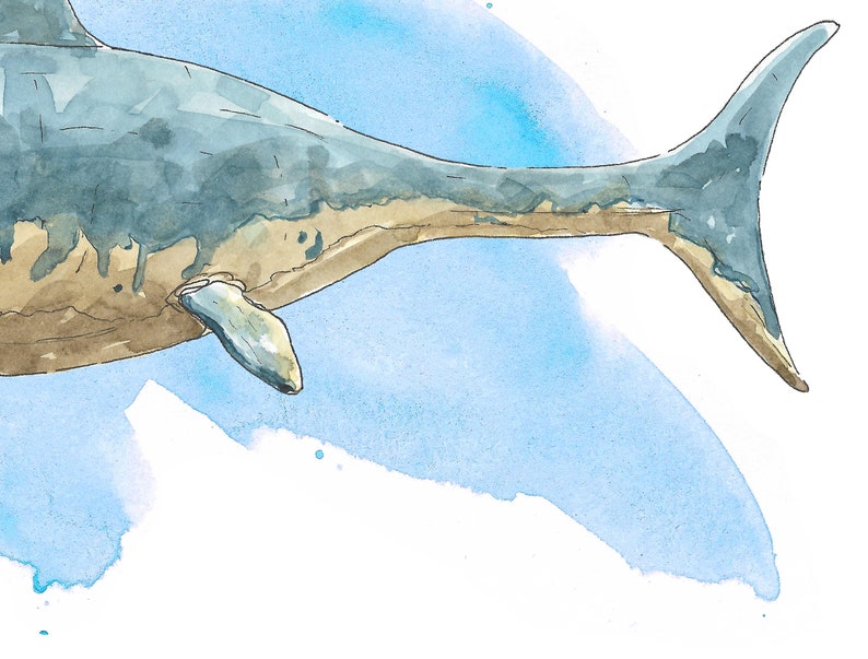Ichthyosaur Print Ichthyosaurus Wall Art Paleoart Lyme - Etsy