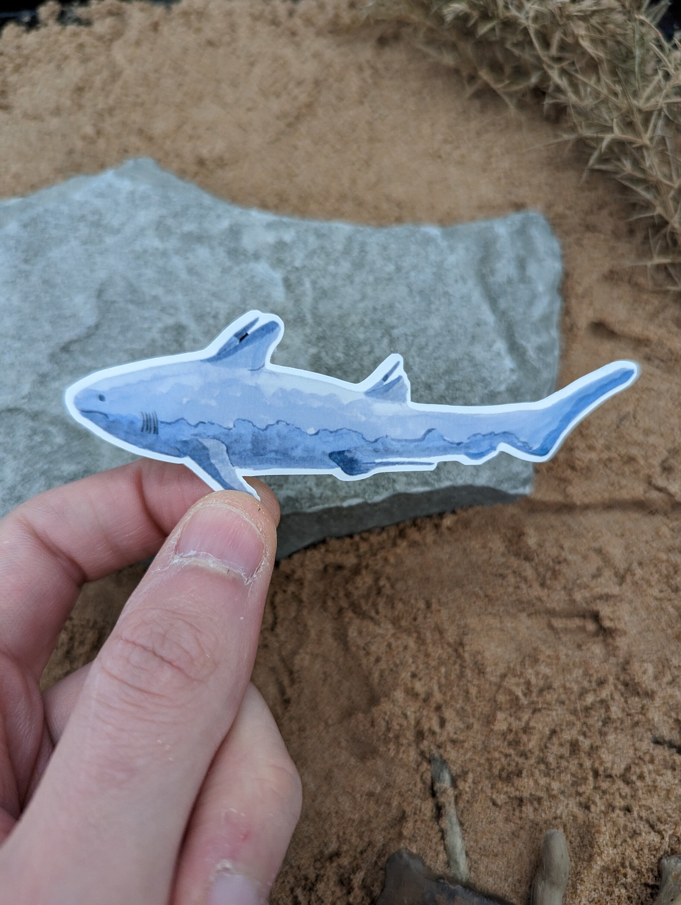 Hybodus Shark