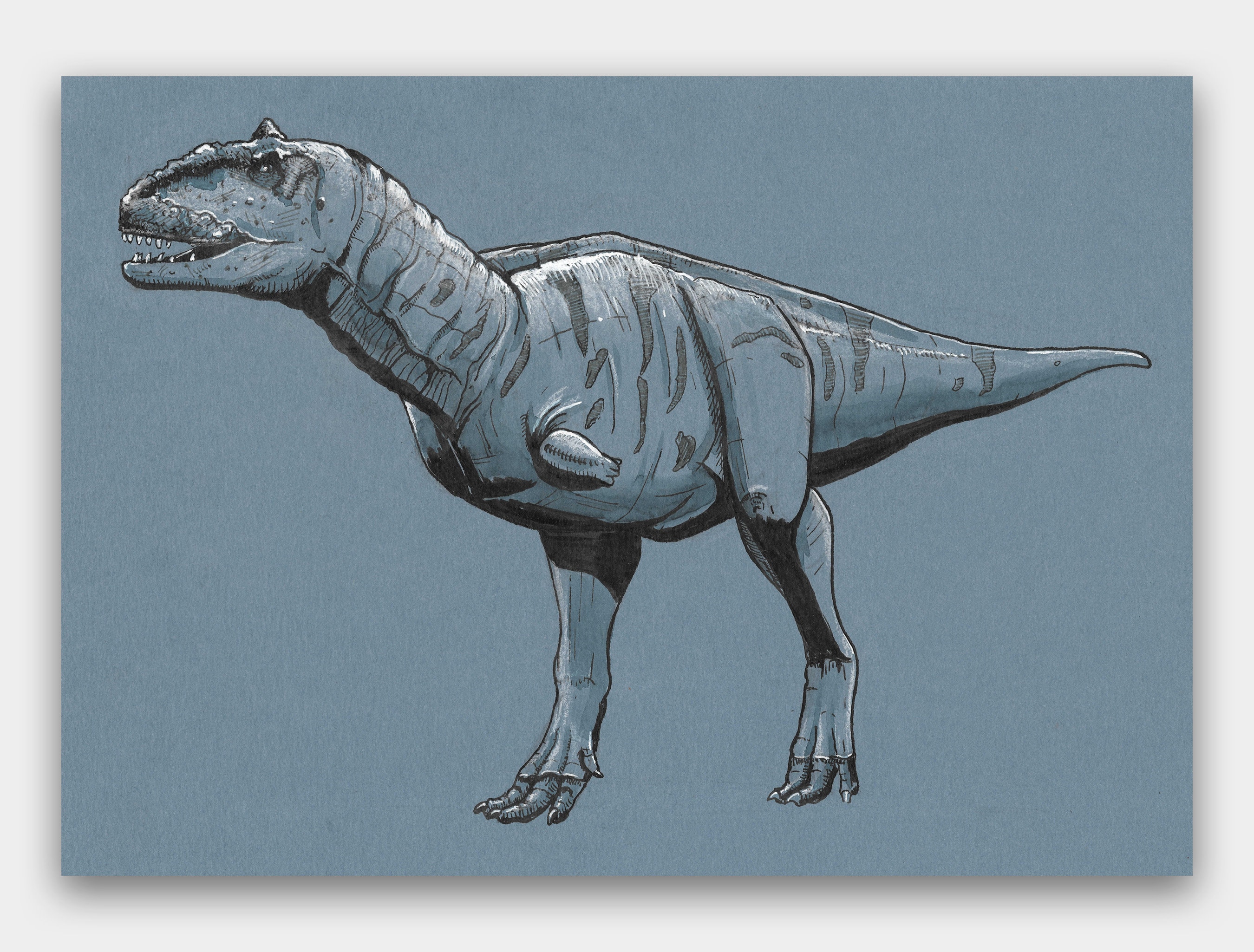 Dinosaurs Drawing T Rex