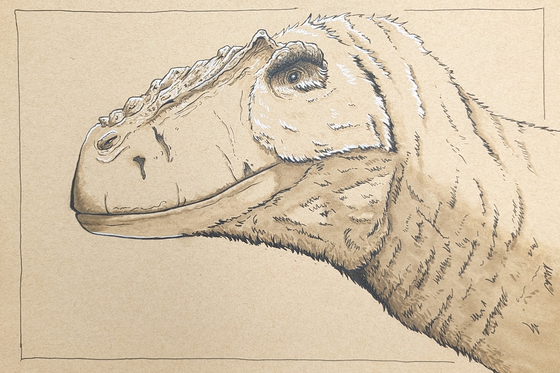 Original Yutyrannus Pen and Ink Drawing, Paleoart Illustration ...