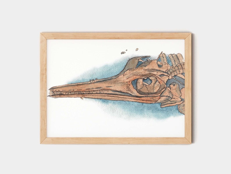 Fossil Ichthyosaur Art Print, Scientific Illustration Artwork ...