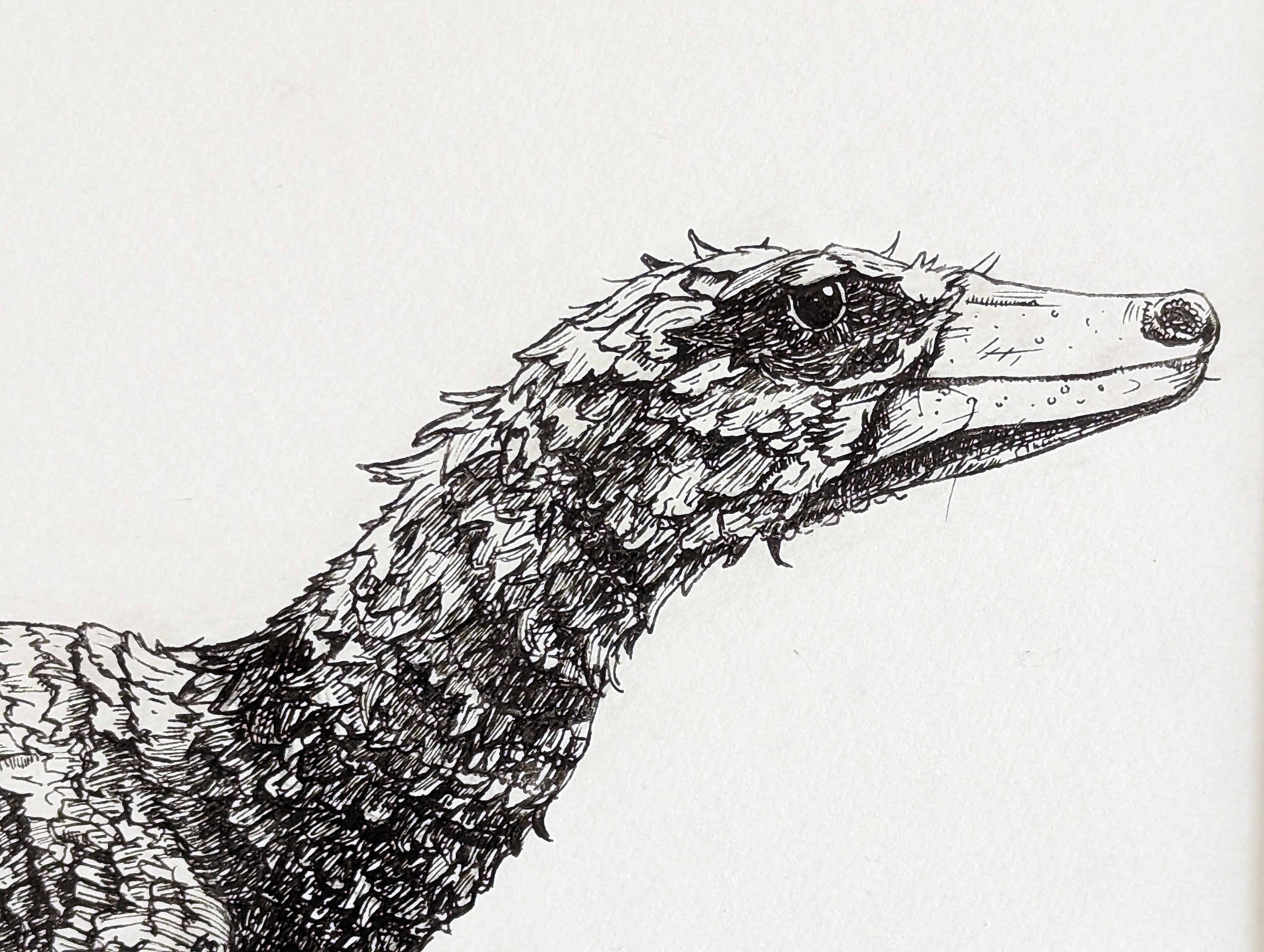 Original Velociraptor Pen and Ink Drawing, T Rex Paleoart Christmas ...