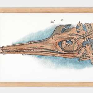 Fossil Ichthyosaur Art Print, Scientific Illustration Artwork ...