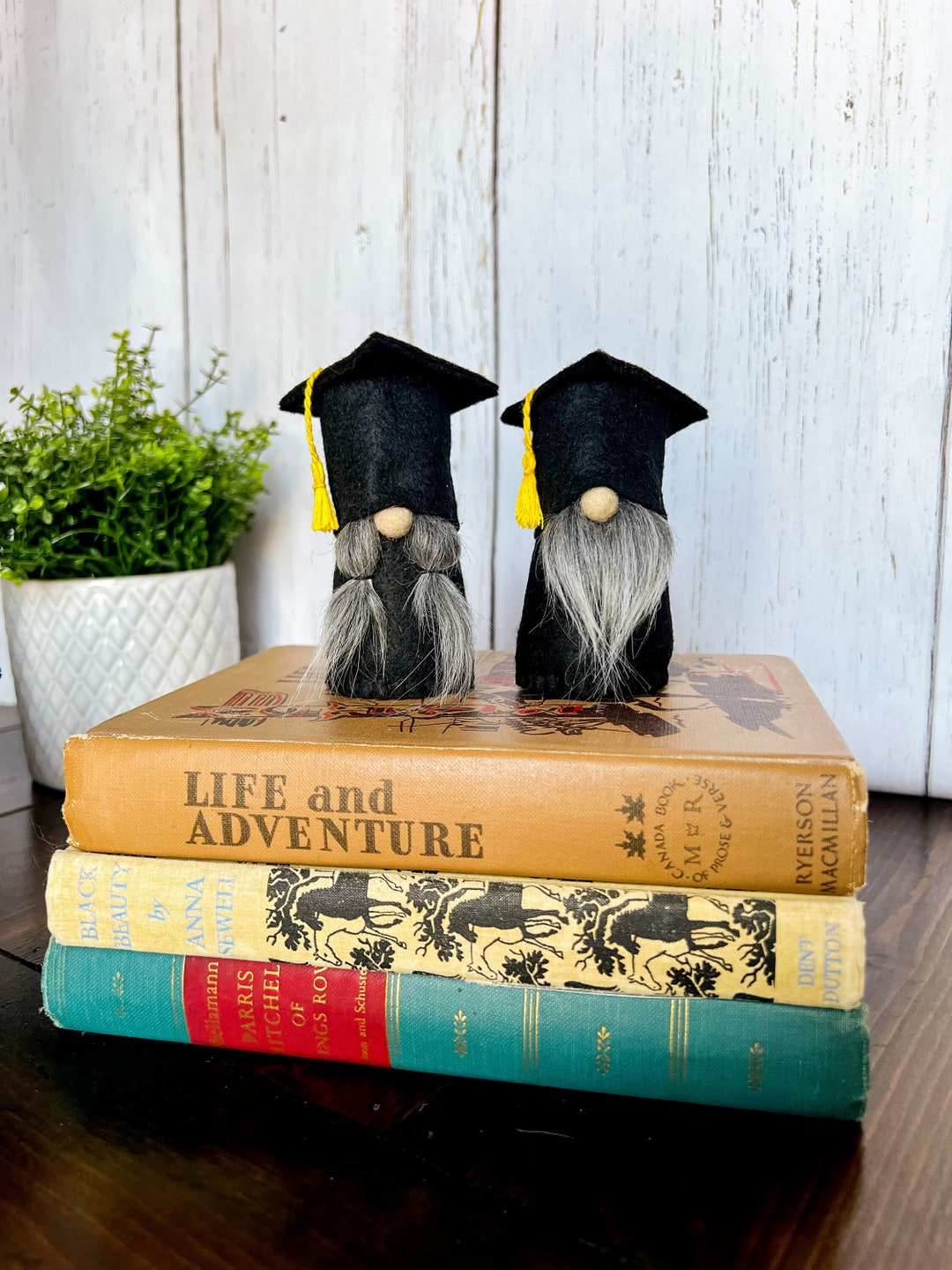 Mini Graduation Gnome - Grad Gift - Etsy