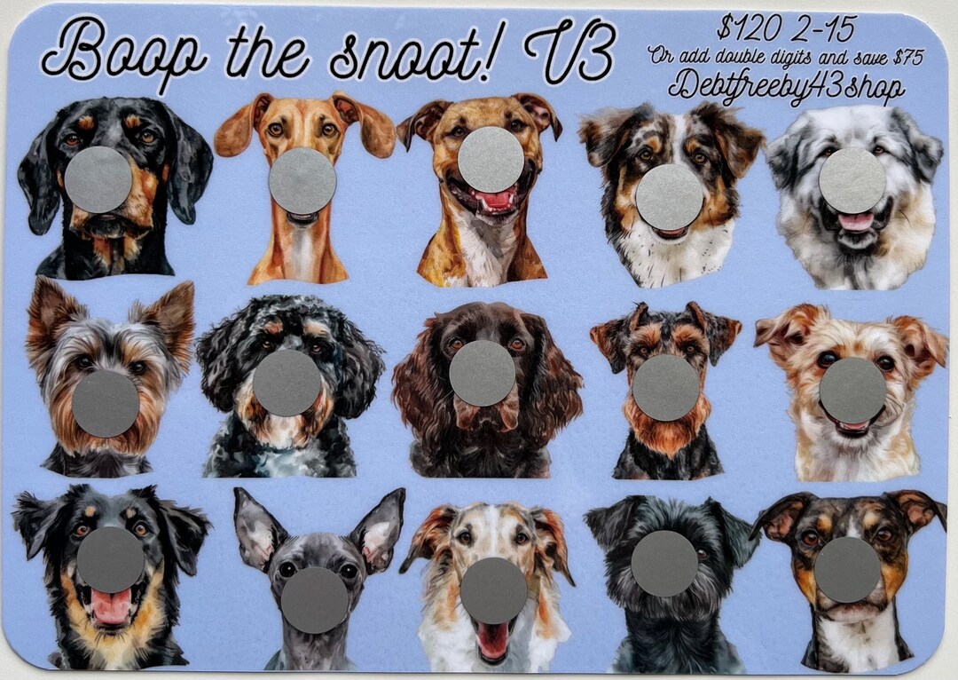 Boop the Snoot V3! Scratch off Savings Challenges 5”x7” Laminated Save ...