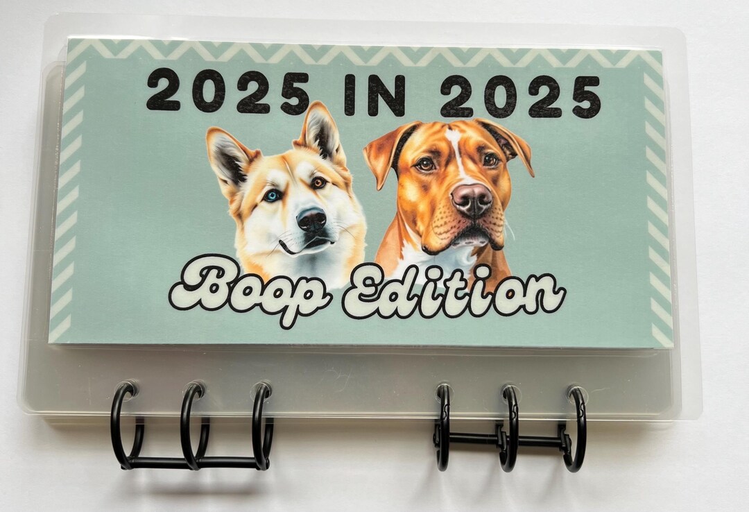 Save 2025 in 2025 Boop the Snoot Edition! Long Term Savings Challenge ...