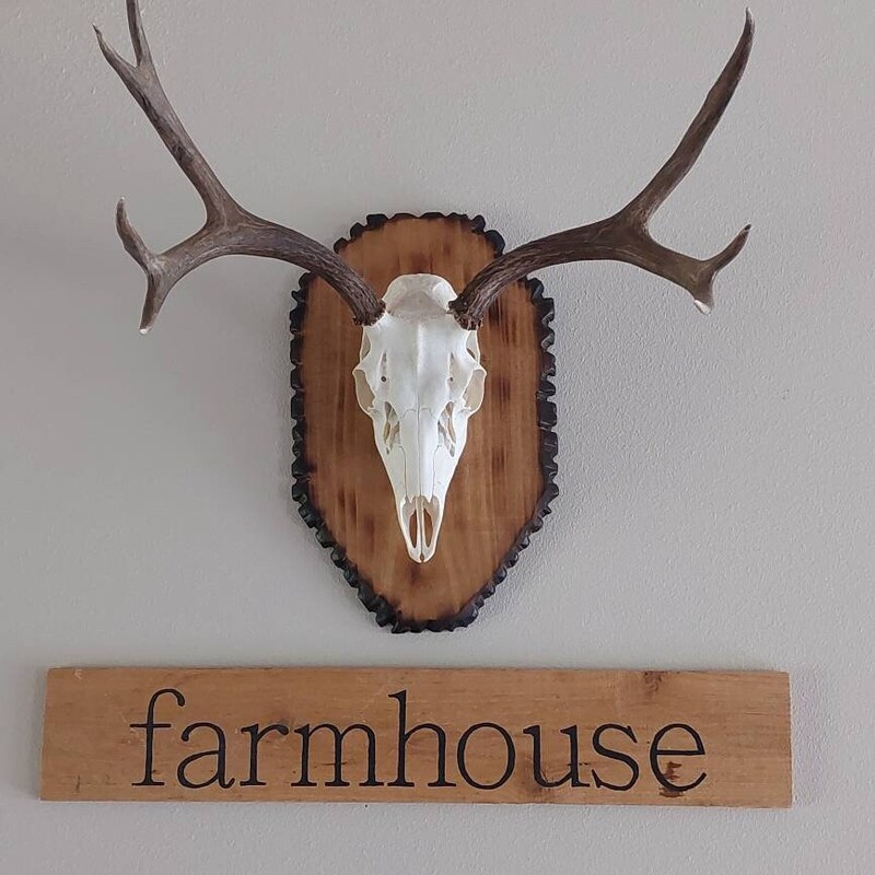 European Mount - Etsy