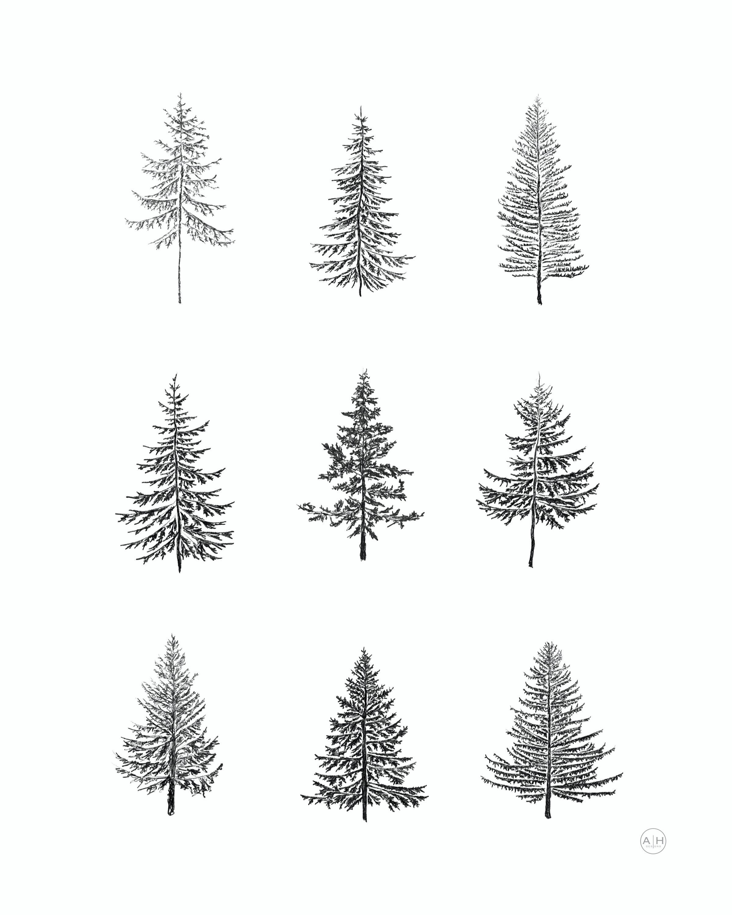 Minimalist Trees - Etsy