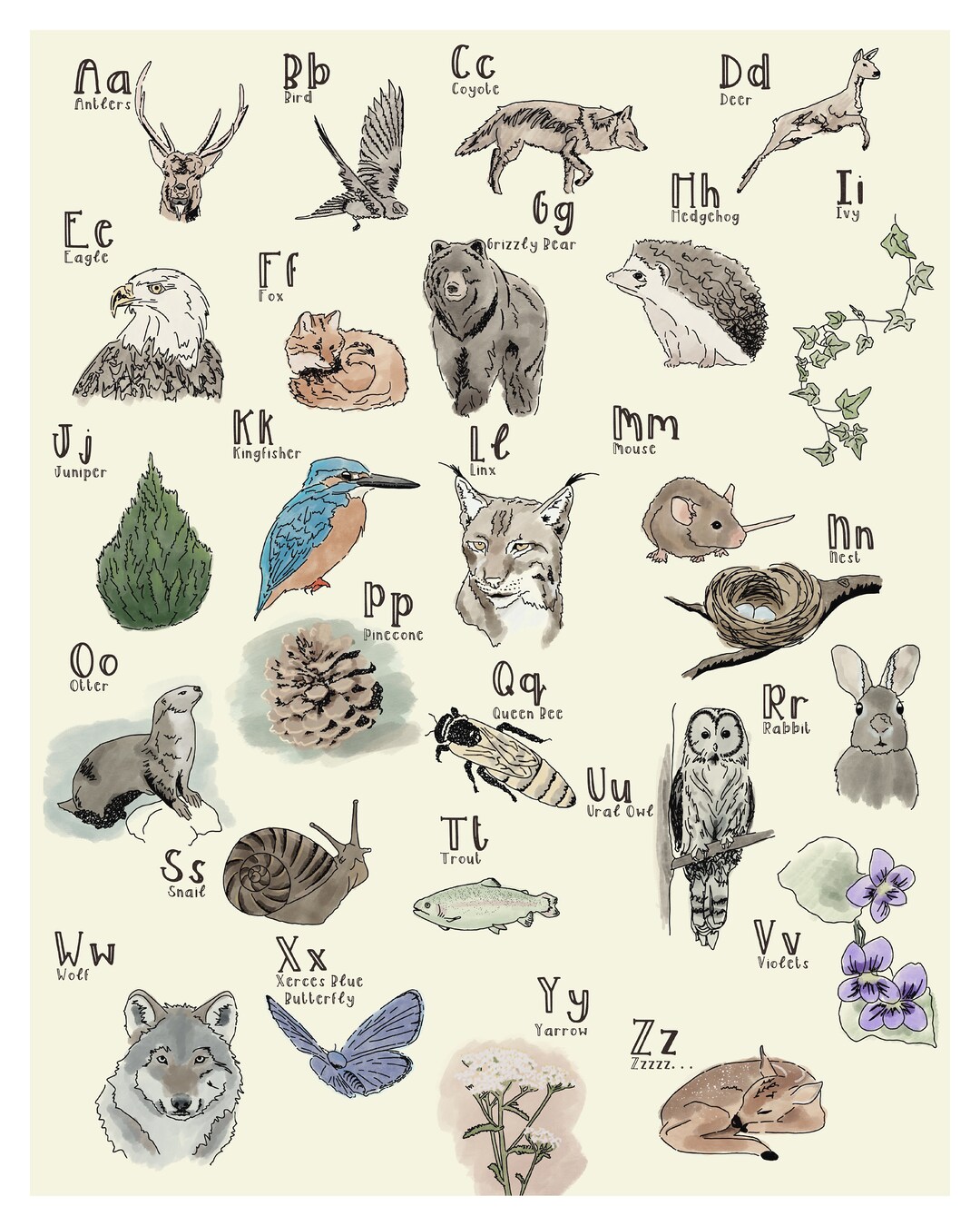 Woodland Alphabet Poster - Etsy