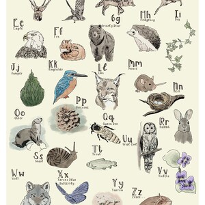 Woodland Alphabet Poster - Etsy