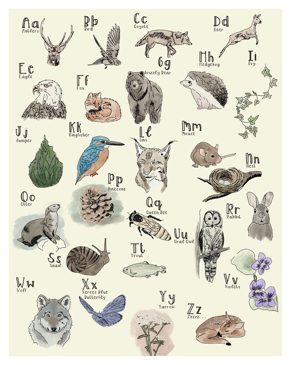 Woodland Alphabet Poster | Etsy