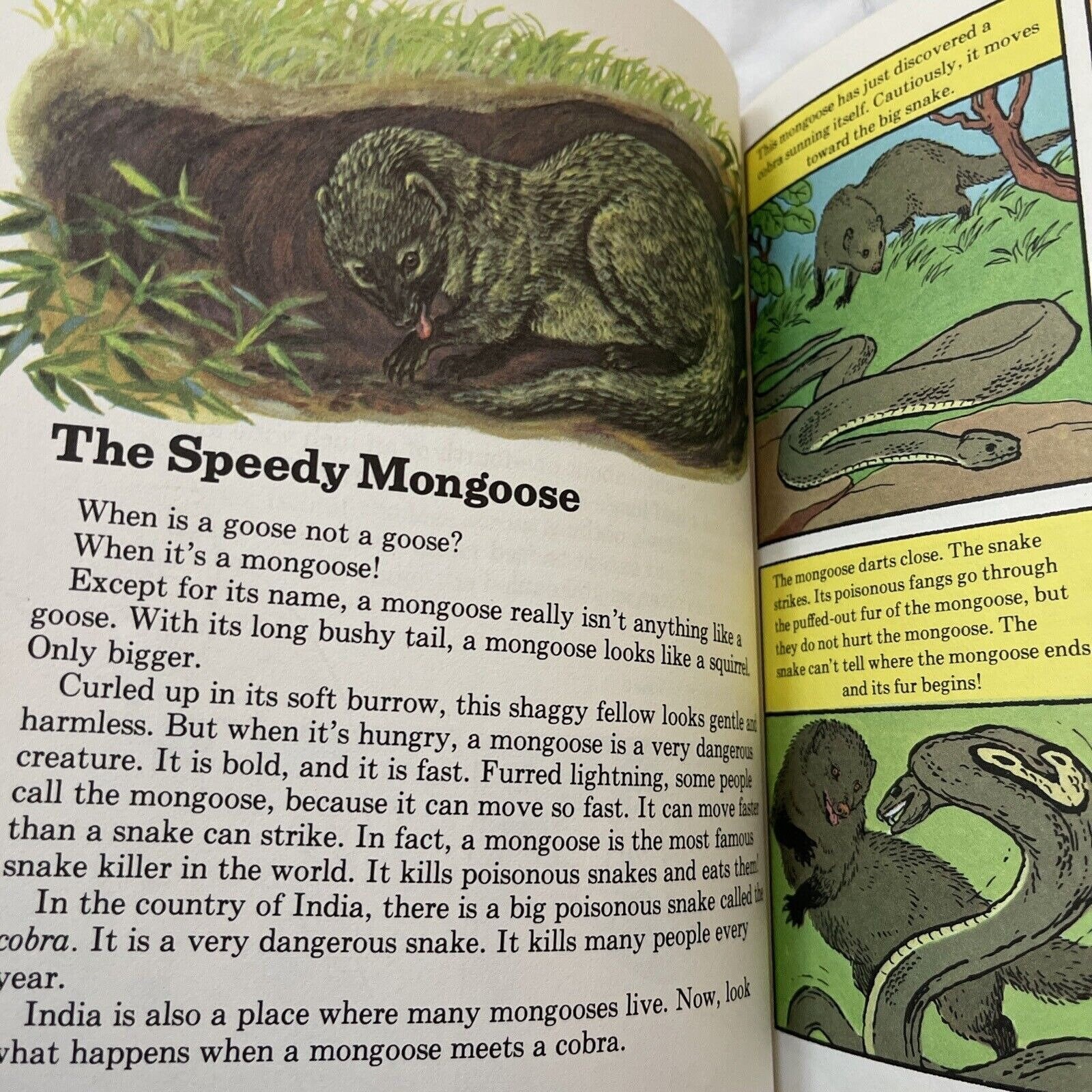 1977 the Young Childrens Encyclopedia by Britannica Volume 10 - Etsy