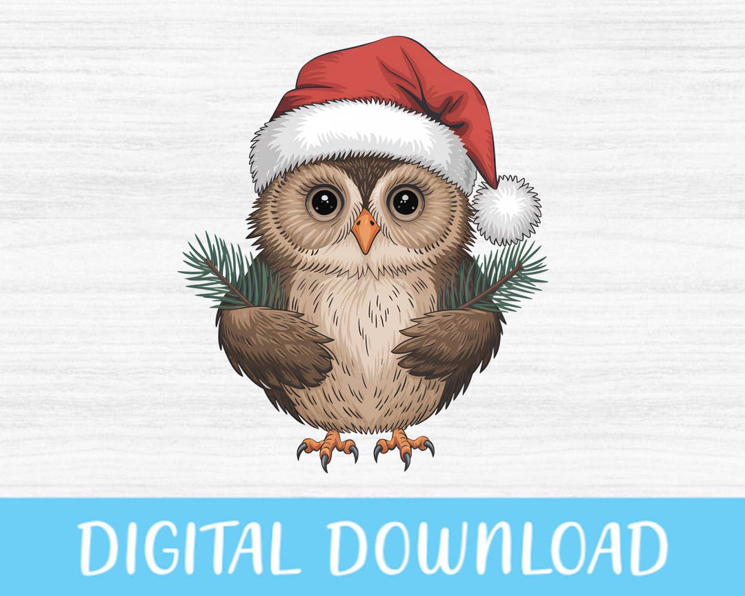 Christmas Owl Png, Happy Owlidays Png for Christmas Shirt, Winter Owl ...