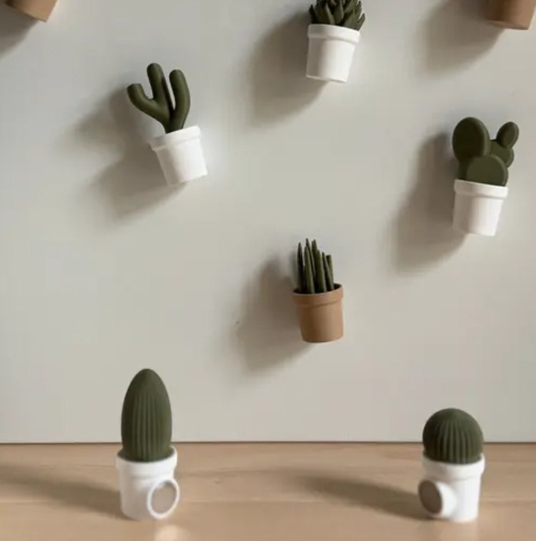 3-D Printed 5 Pack of Assorted Cactus Magnets - Etsy