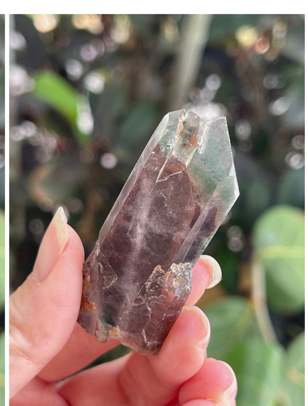 Rare Gucci Quartz Shamans Dream Garden Quartz Lodolite Chlorite ...